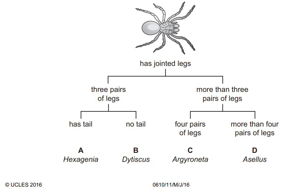 Igcse Biology 0610 1 2 Concept And Uses Of Classification Systems Igcse Style Questions Paper 1