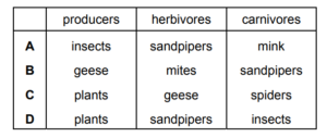 iGCSE Biology (0610)-19.2 Food chains and food webs - iGCSE Style ...