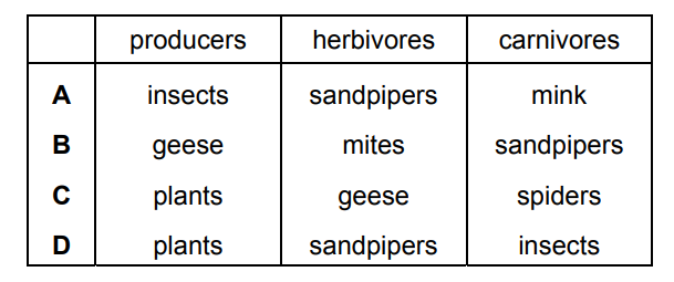 iGCSE Biology (0610)-19.2 Food chains and food webs - iGCSE Style ...