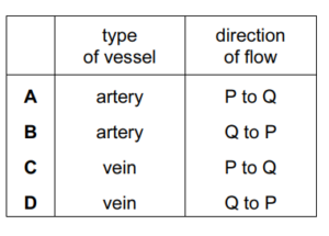 iGCSE Biology (0610)-9.3 Blood vessels - iGCSE Style Questions Paper 1