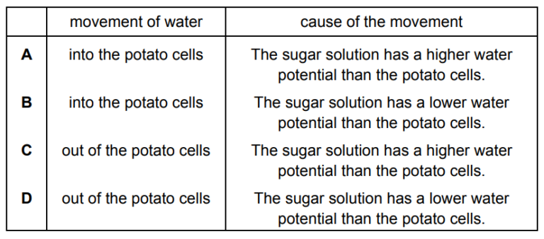 iGCSE Biology (0610)-3.2 Osmosis - iGCSE Style Questions Paper 2