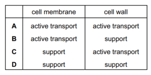 iGCSE Biology (0610)-3.3 Active transport - iGCSE Style Questions Paper 1