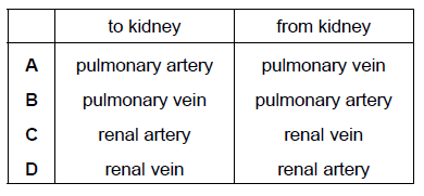 iGCSE Biology (0610)-9.3 Blood vessels - iGCSE Style Questions Paper 1
