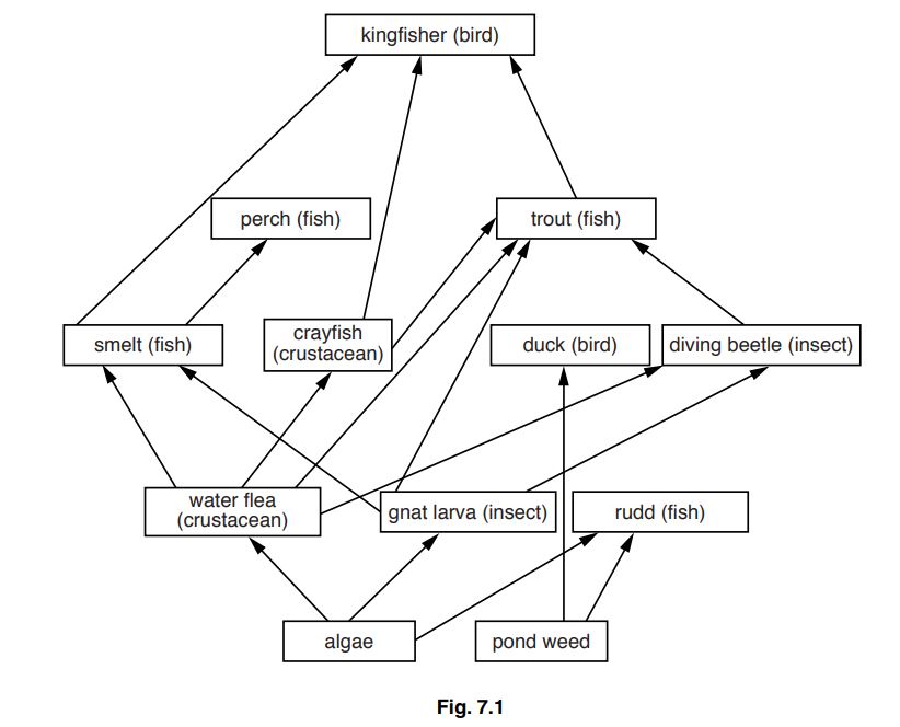 iGCSE Biology (0610)-19.2 Food chains and food webs - iGCSE Style ...