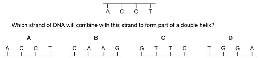 Igcse Biology 0610 4 1 Biological Molecules Igcse Style Questions Paper 2 Elearning App By