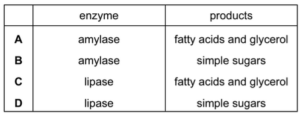 iGCSE Biology (0610)-5.1 Enzymes - iGCSE Style Questions Paper 1