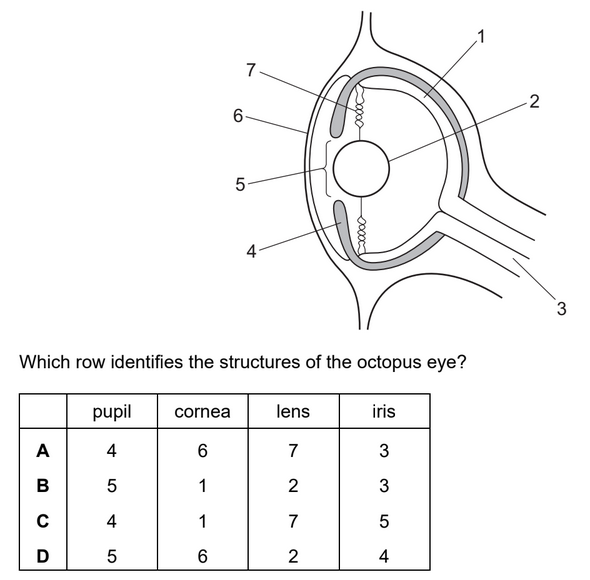 iGCSE Biology (0610)-14.2 Sense organs - iGCSE Style Questions Paper 2