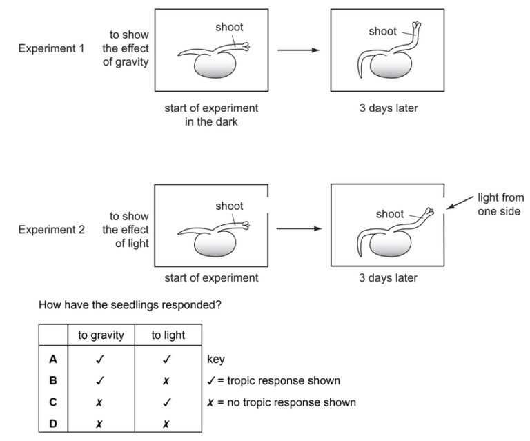 iGCSE Biology (0610)-14.5 Tropic responses - iGCSE Style Questions Paper 1