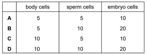 iGCSE Biology (0610)-16.4 Sexual reproduction in humans - iGCSE Style ...