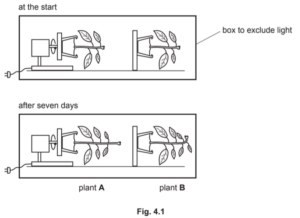 iGCSE Biology (0610)-14.5 Tropic responses - iGCSE Style Questions Paper 4