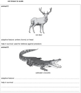 iGCSE Biology (0610)-18.2 Adaptive features - iGCSE Style Questions ...