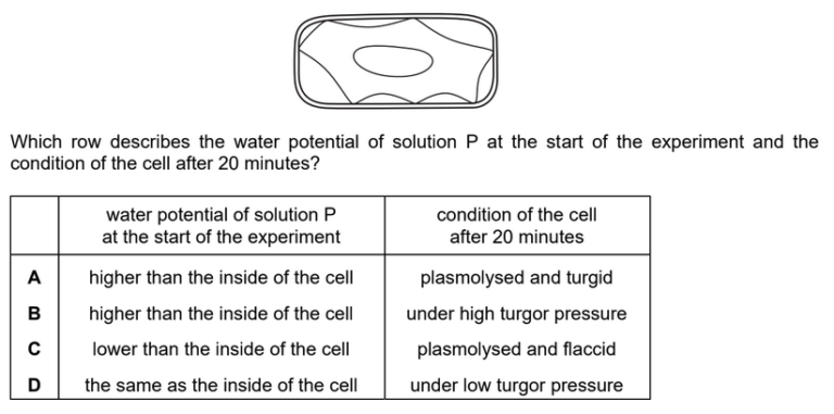 iGCSE Biology (0610)-3.2 Osmosis - iGCSE Style Questions Paper 2