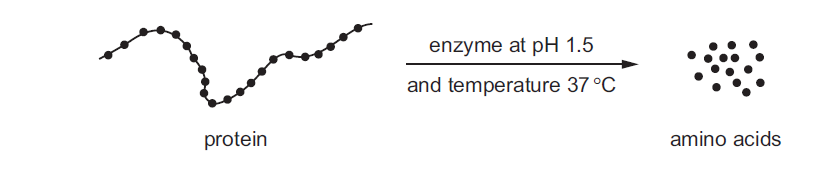 Igcse Biology 0610 4 1 Biological Molecules Igcse Style Questions
