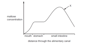 iGCSE Biology (0610)-7.5 Absorption - iGCSE Style Questions Paper 2 ...