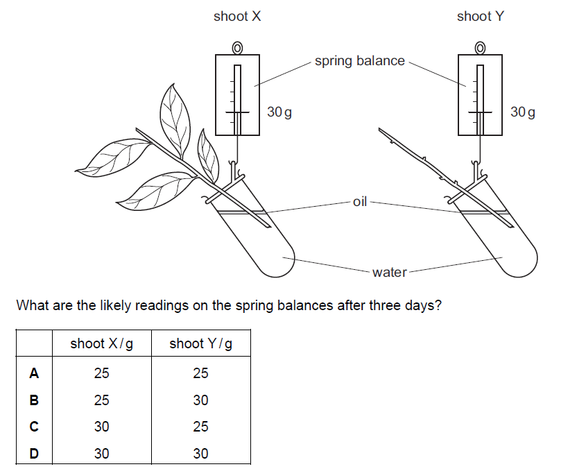 iGCSE Biology (0610) 2.2 Size of specimens iGCSE Style Questions Paper 1