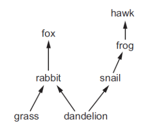 iGCSE Biology (0610)-19.2 Food chains and food webs - iGCSE Style ...
