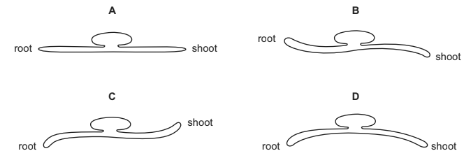 iGCSE Biology (0610)-14.5 Tropic responses - iGCSE Style Questions Paper 2