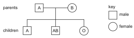 iGCSE Biology (0610)-17.4 Monohybrid inheritance - iGCSE Style Questions Paper 2