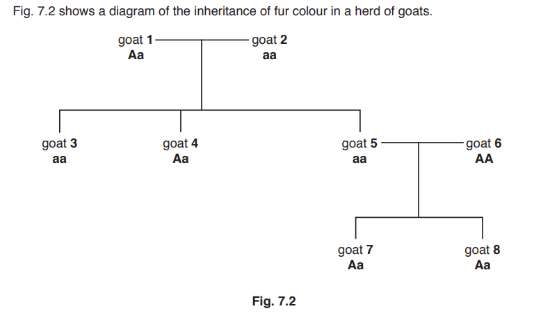 iGCSE Biology (0610)-17.4 Monohybrid inheritance - iGCSE Style Questions Paper 3