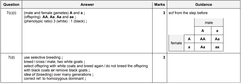 iGCSE Biology (0610)-17.4 Monohybrid inheritance - iGCSE Style Questions Paper 3