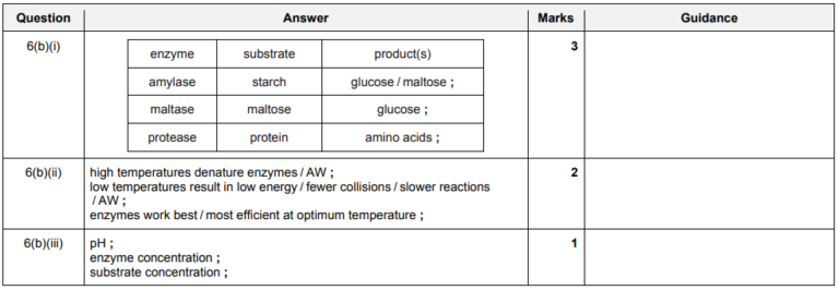 iGCSE Biology (0610)-5.1 Enzymes - iGCSE Style Questions Paper 4