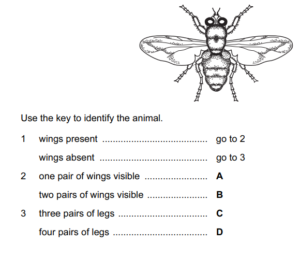 iGCSE Biology (0610) 1.2 Concept and uses of classification systems ...