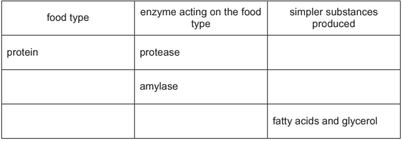 iGCSE Biology (0610)-5.1 Enzymes - iGCSE Style Questions Paper 3