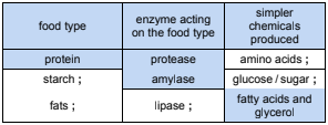 iGCSE Biology (0610)-5.1 Enzymes - iGCSE Style Questions Paper 3