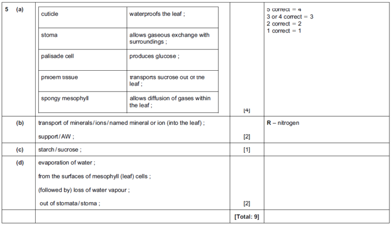 Igcse Biology 0610 6 2 Leaf Structure Igcse Style Questions Paper 2