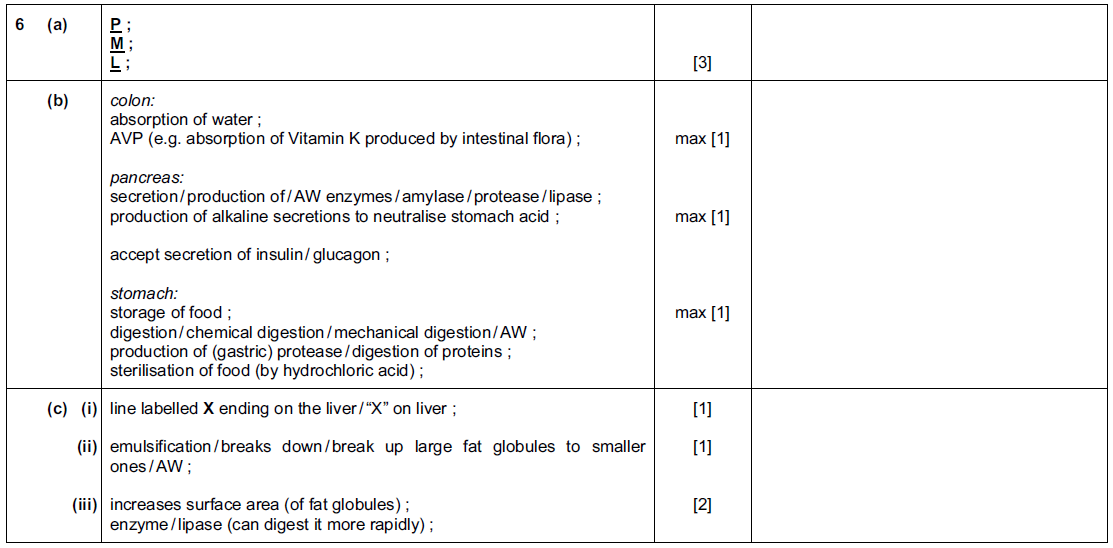 iGCSE Biology (0610)-7.2 Digestive system - iGCSE Style Questions Paper 4
