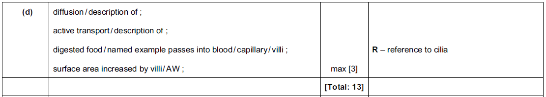iGCSE Biology (0610)-7.2 Digestive system - iGCSE Style Questions Paper 4