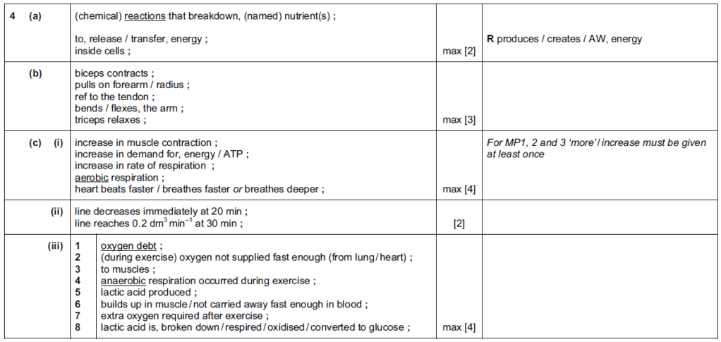 iGCSE Biology (0610)-12.1 Respiration - iGCSE Style Questions Paper 3