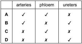 iGCSE Biology (0610)-9.3 Blood vessels - iGCSE Style Questions Paper 1