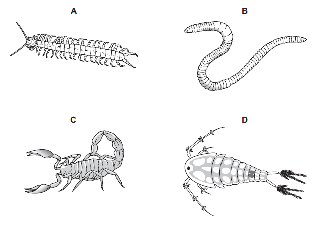 Igcse Biology 0610 1 2 Concept And Uses Of Classification Systems Igcse Style Questions Paper 1