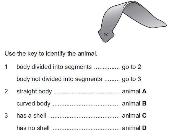Igcse Biology 0610 1 2 Concept And Uses Of Classification Systems Igcse Style Questions Paper 1
