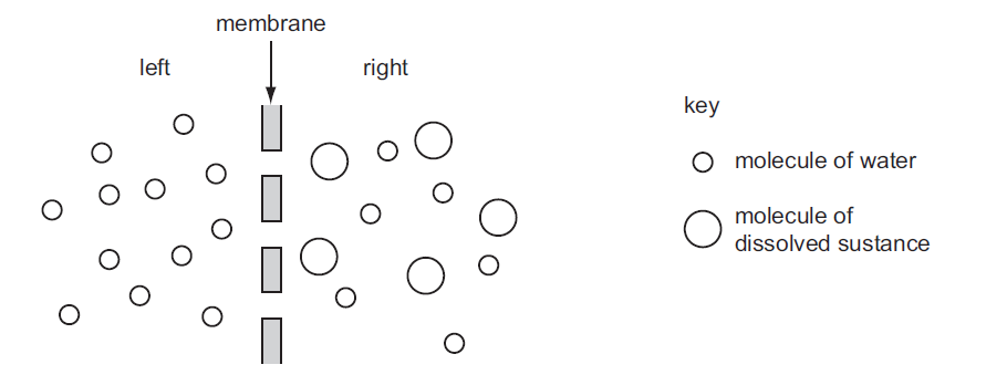 Igcse Biology 0610 3 2 Osmosis Igcse Style Questions Paper 1