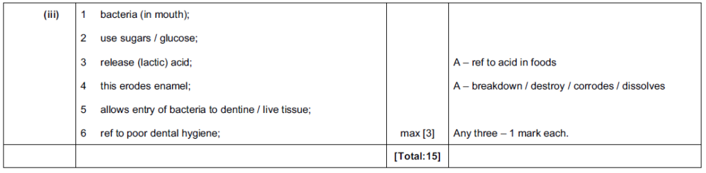 iGCSE Biology (0610)-7.2 Digestive system - iGCSE Style Questions Paper 4