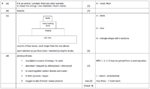 iGCSE Biology (0610)-19.2 Food chains and food webs - iGCSE Style ...