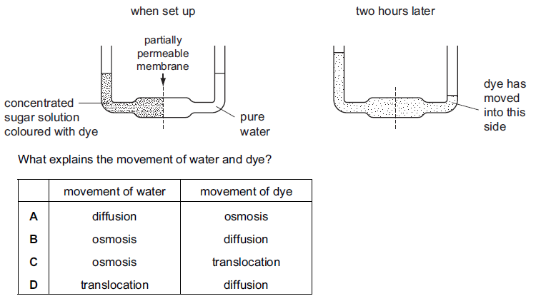 Igcse Biology 0610 3 1 Diffusion Igcse Style Questions Paper 1