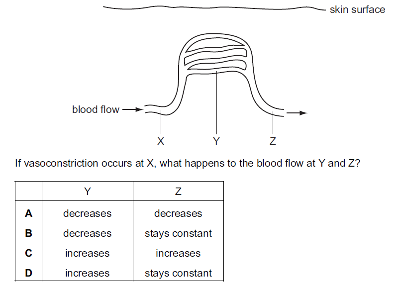 iGCSE Biology (0610)-9.3 Blood vessels - iGCSE Style Questions Paper 1