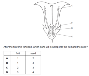 iGCSE Biology (0610)-16.3 Sexual reproduction in plants - iGCSE Style ...