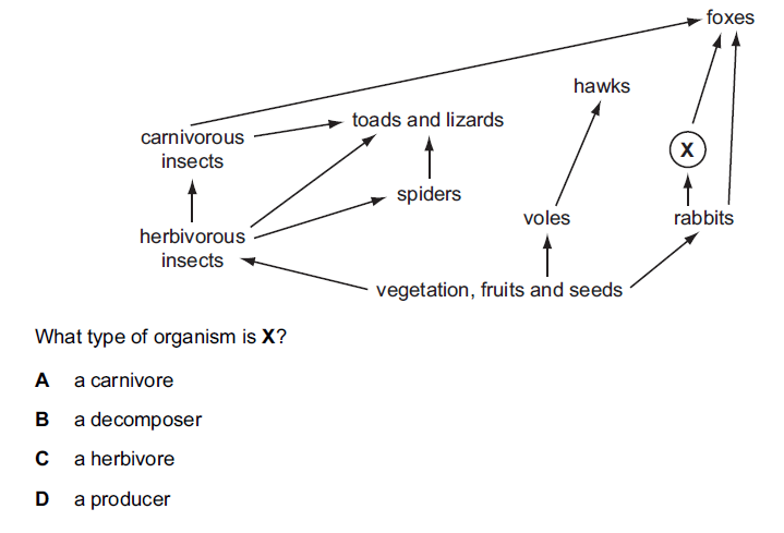 iGCSE Biology (0610)-19.2 Food chains and food webs - iGCSE Style ...