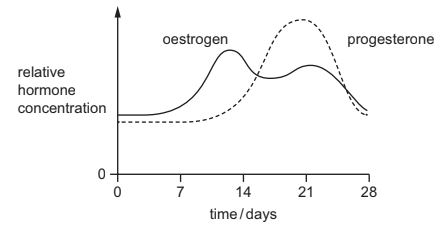 iGCSE Biology (0610)-16.5 Sexual hormones in humans - iGCSE Style ...