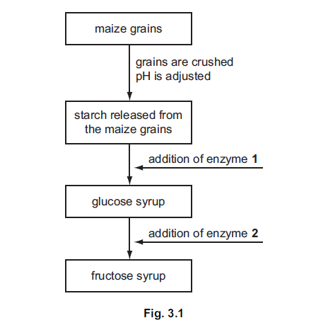 iGCSE Biology (0610)-5.1 Enzymes - iGCSE Style Questions Paper 3