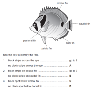 iGCSE Biology (0610) 1.2 Concept and uses of classification systems ...