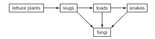 iGCSE Biology (0610)-19.2 Food chains and food webs - iGCSE Style ...