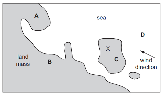 iGCSE Biology (0610)-20.3 Pollution - iGCSE Style Questions Paper 1
