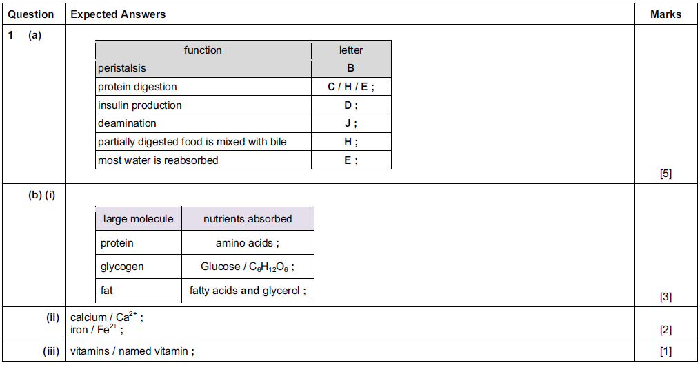 iGCSE Biology (0610)-7.2 Digestive system - iGCSE Style Questions Paper 3