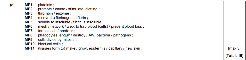 iGCSE Biology (0610)-7.2 Digestive system - iGCSE Style Questions Paper 3