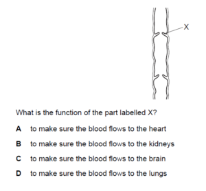 iGCSE Biology (0610)-9.3 Blood vessels - iGCSE Style Questions Paper 1